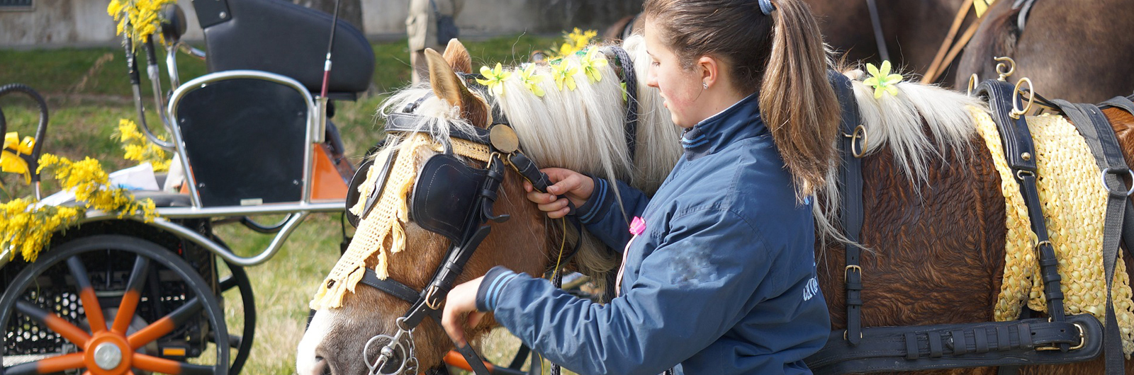 Dani Johnson | Remove The Blinders You Have Put On Your Vision