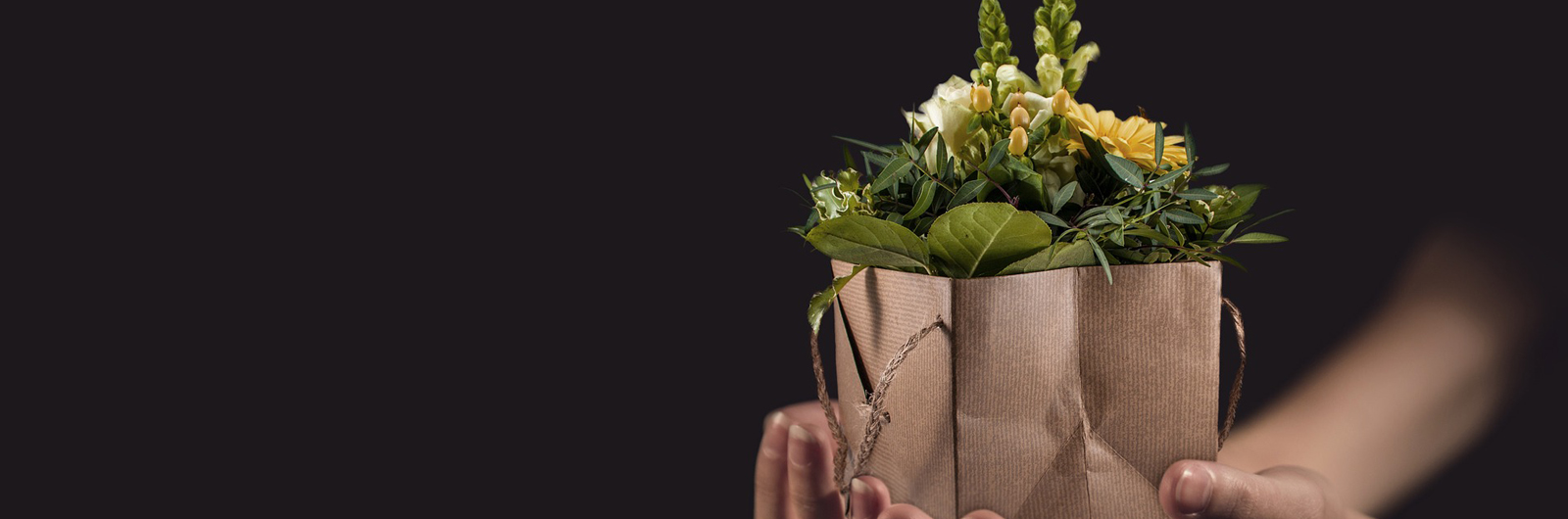 Dani Johnson | WHY Do You Give?